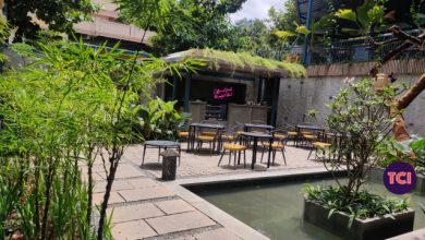 Cafes in JP Nagar: Cat Cafe, Iris, Dialogues, Blue Tokai